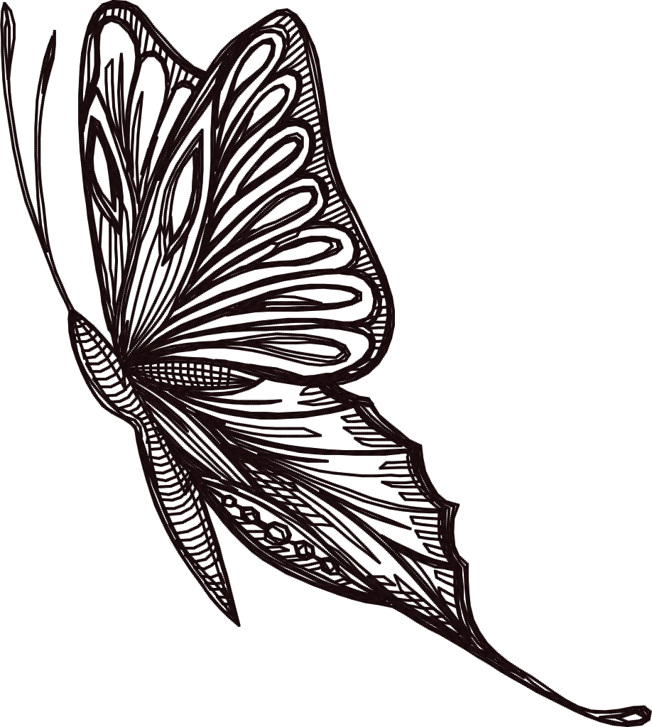 Sketched Butterfly