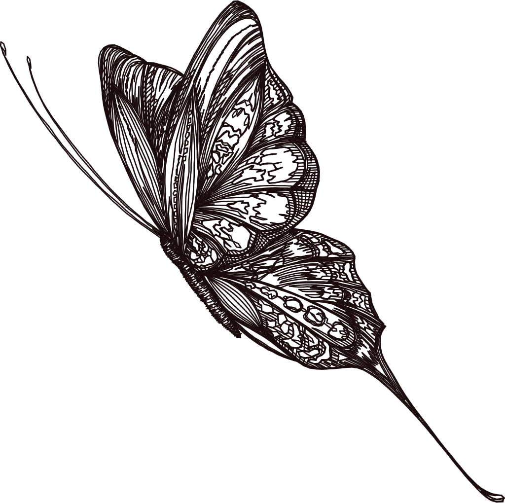 Sketched Butterfly