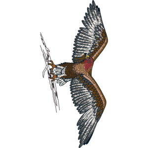 Regal Birds Eagle Flying