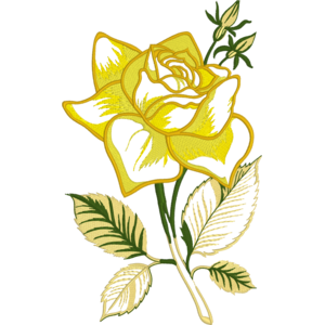 Yellow Rose Flowers Embroidery Design